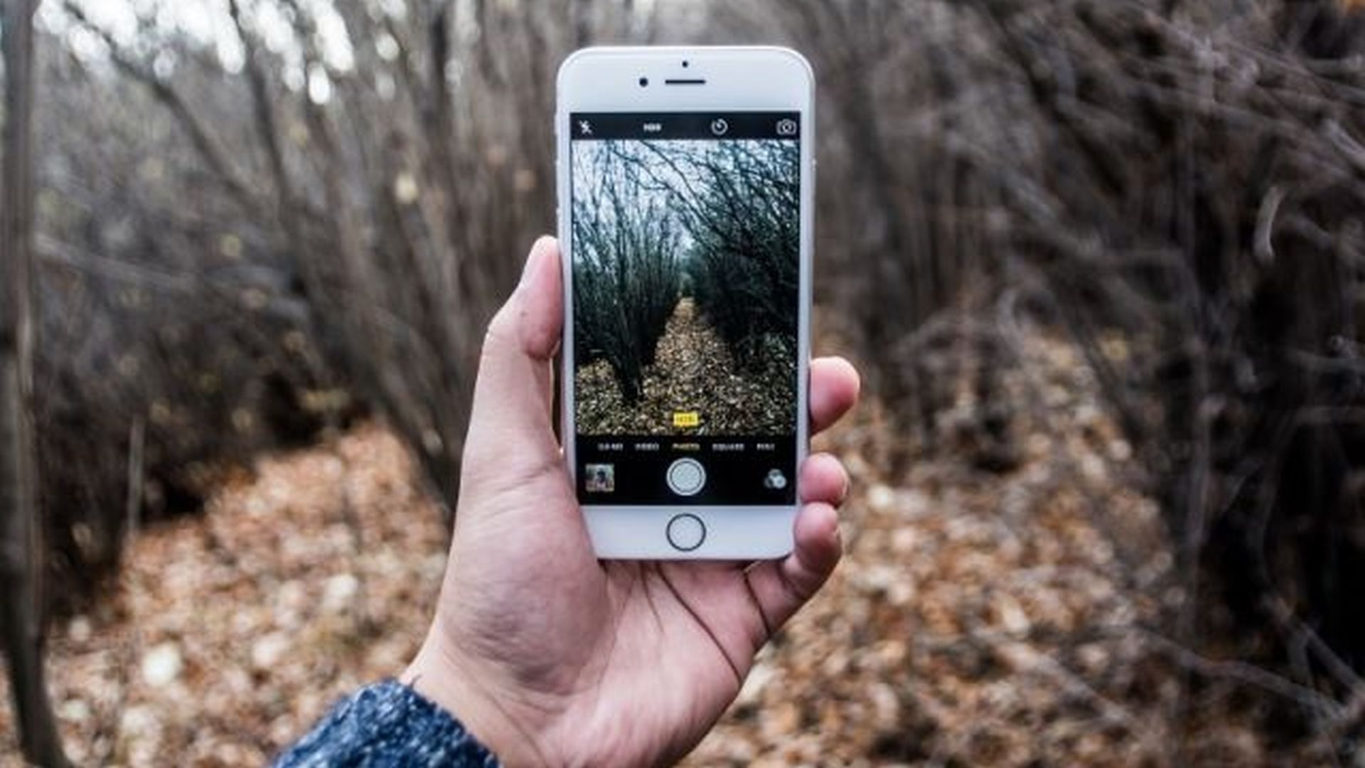 Workshop Fotograferen met je mobiele telefoon