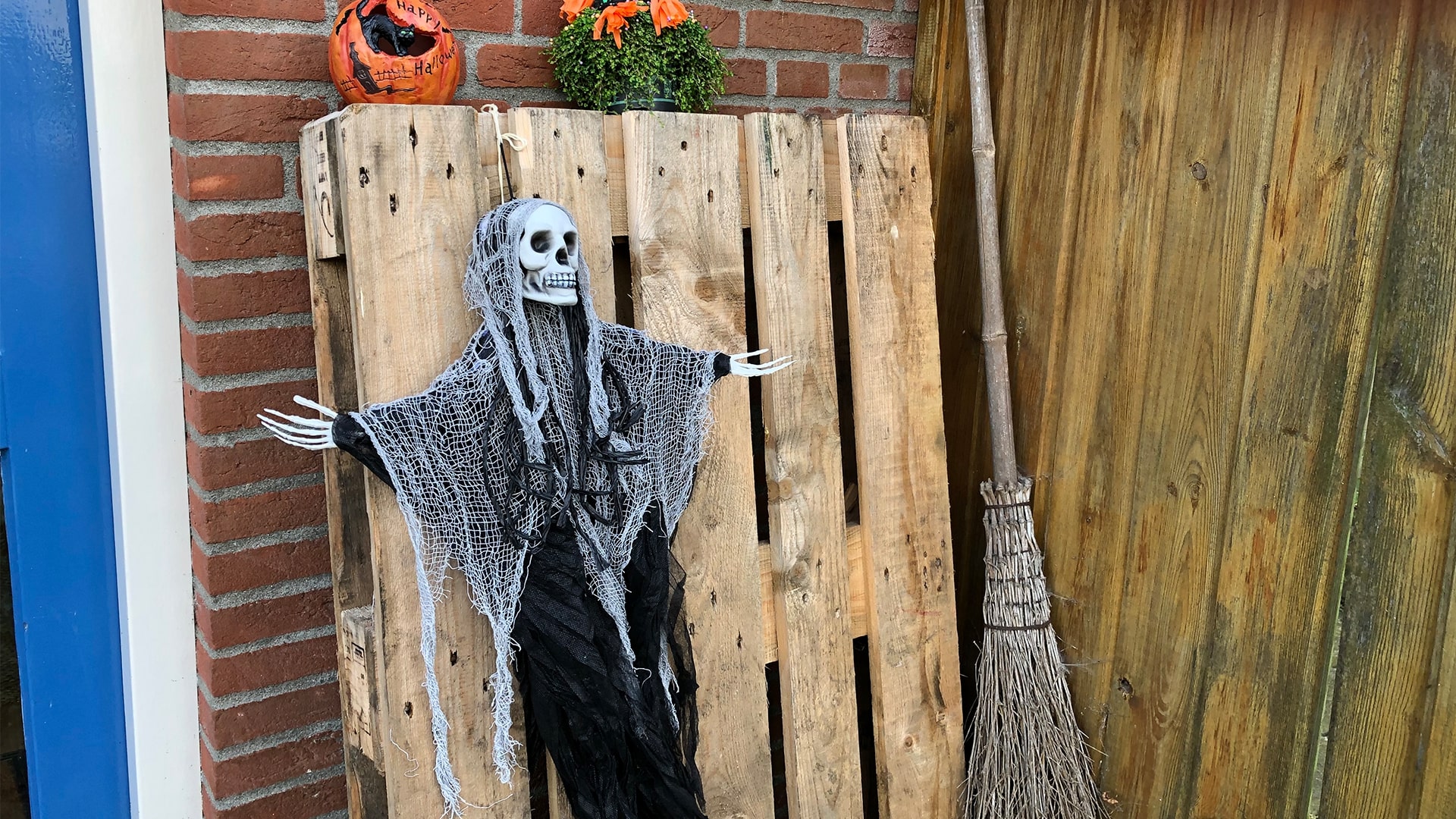Wat is er allemaal te doen met Halloween in De Langstraat? (Video)