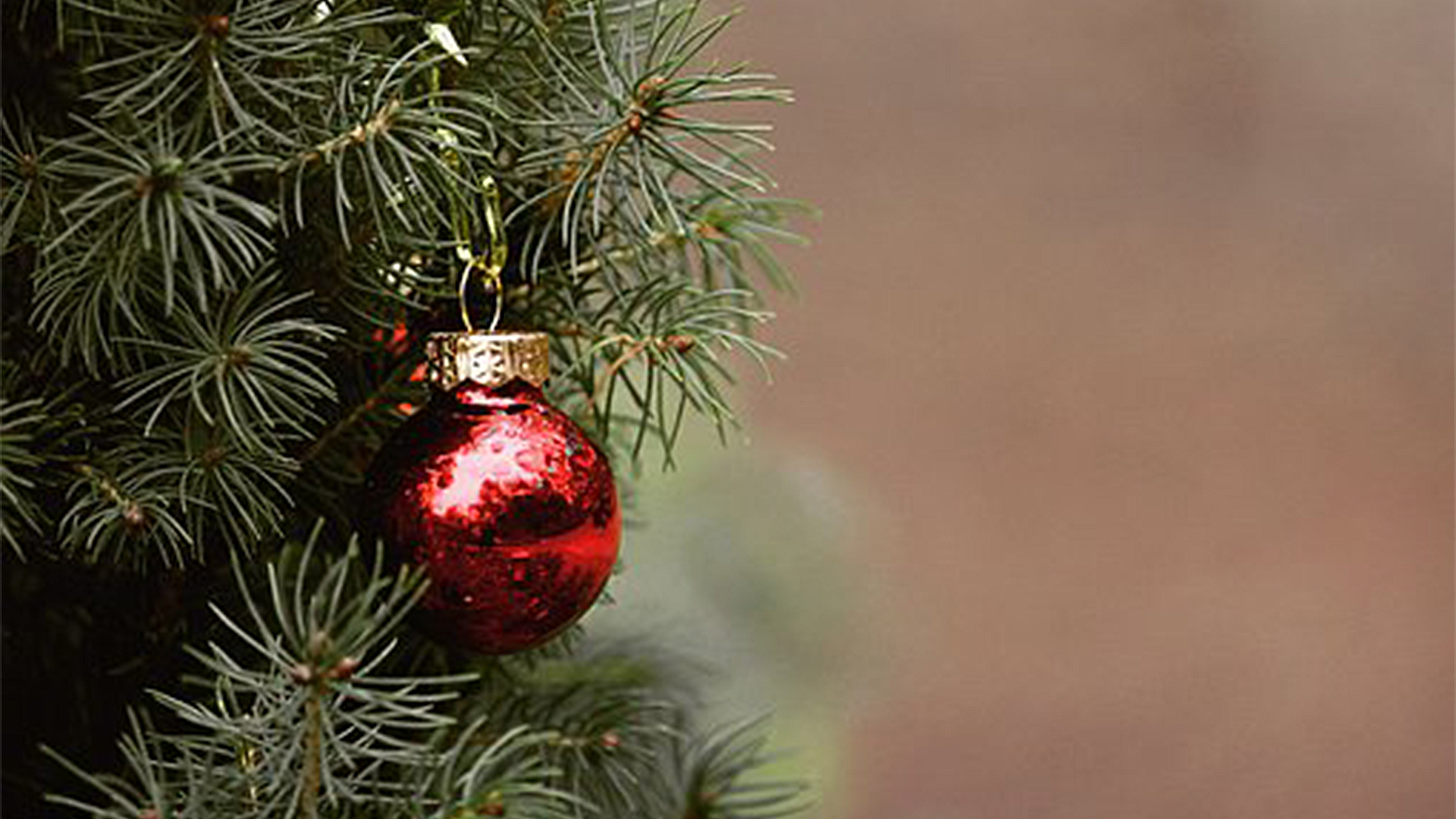 Kerst workshop : AmbianZe Bloem & Sfeer